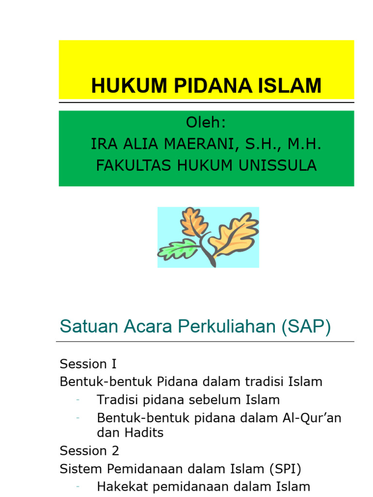 HK Pidana Islam | PDF