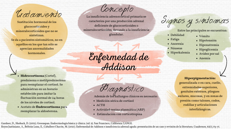 Esquema enfermedad Addison | PDF | Glándula suprarrenal ...