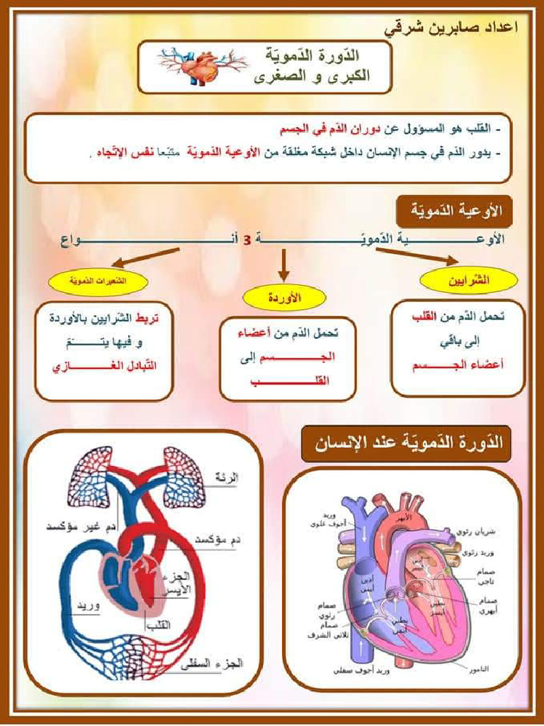 ملخصات دروس الإيقاظ العلمي الثلاثي الثاني سنة خامسة إبتدائي 9rayti.com.Tn | PDF