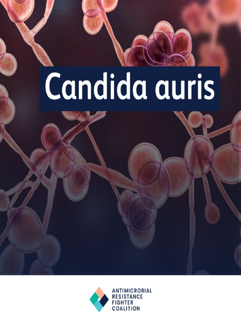 Candida Auris 1689521782 | PDF