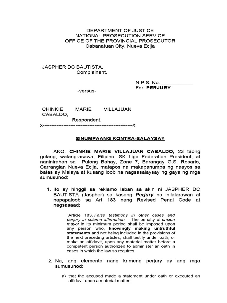 COUNTER-AFFIDAVIT Perjury-Election | PDF