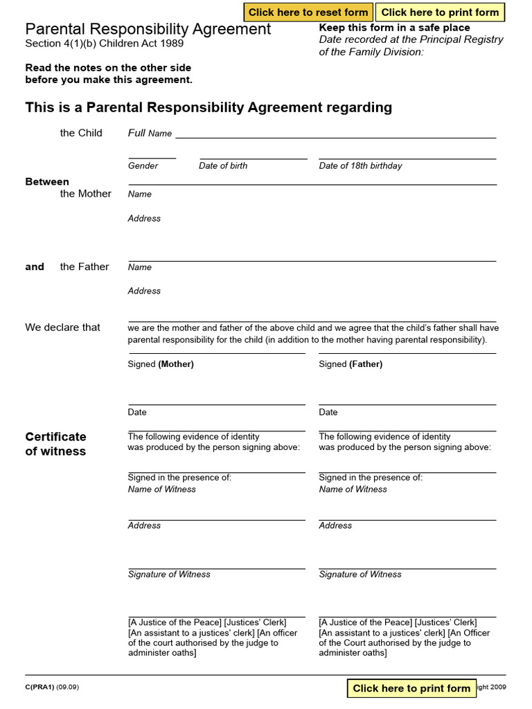 Parental Responsibility Form Guide | PDF | Judge | Birth Certificate