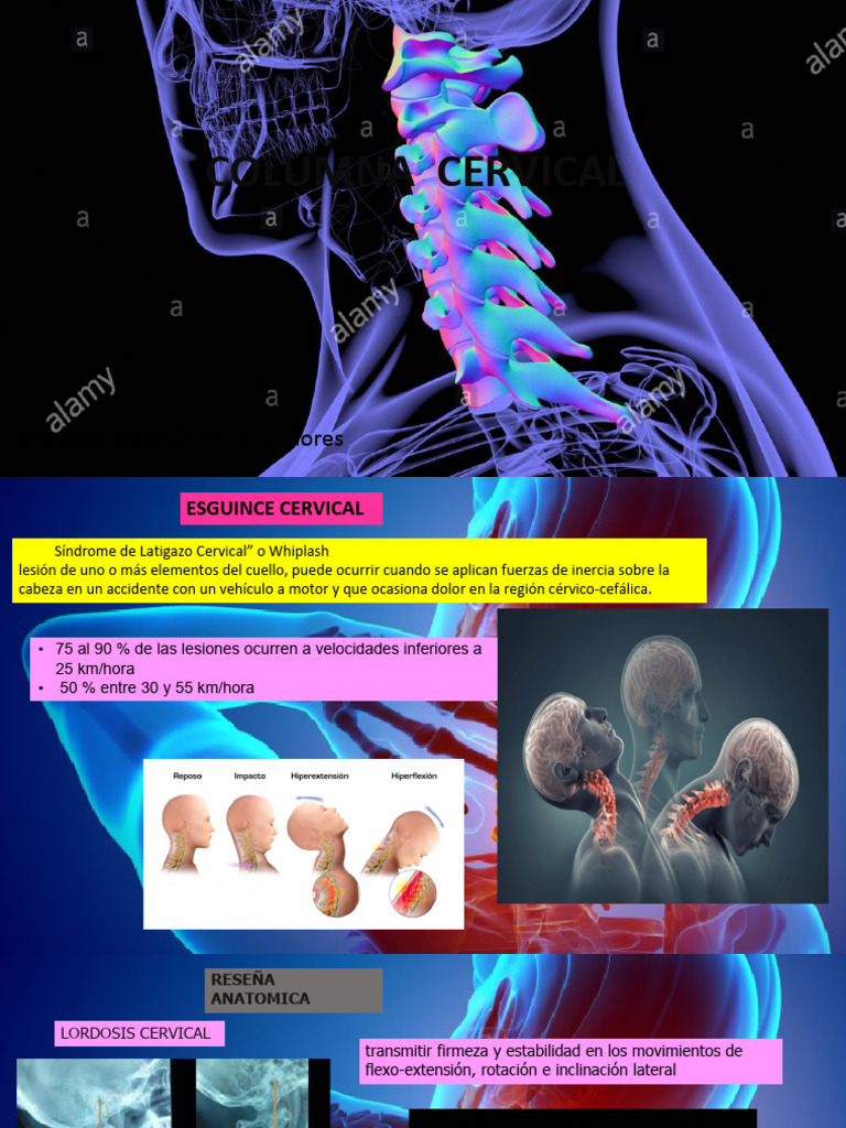 Columna Cervical | PDF