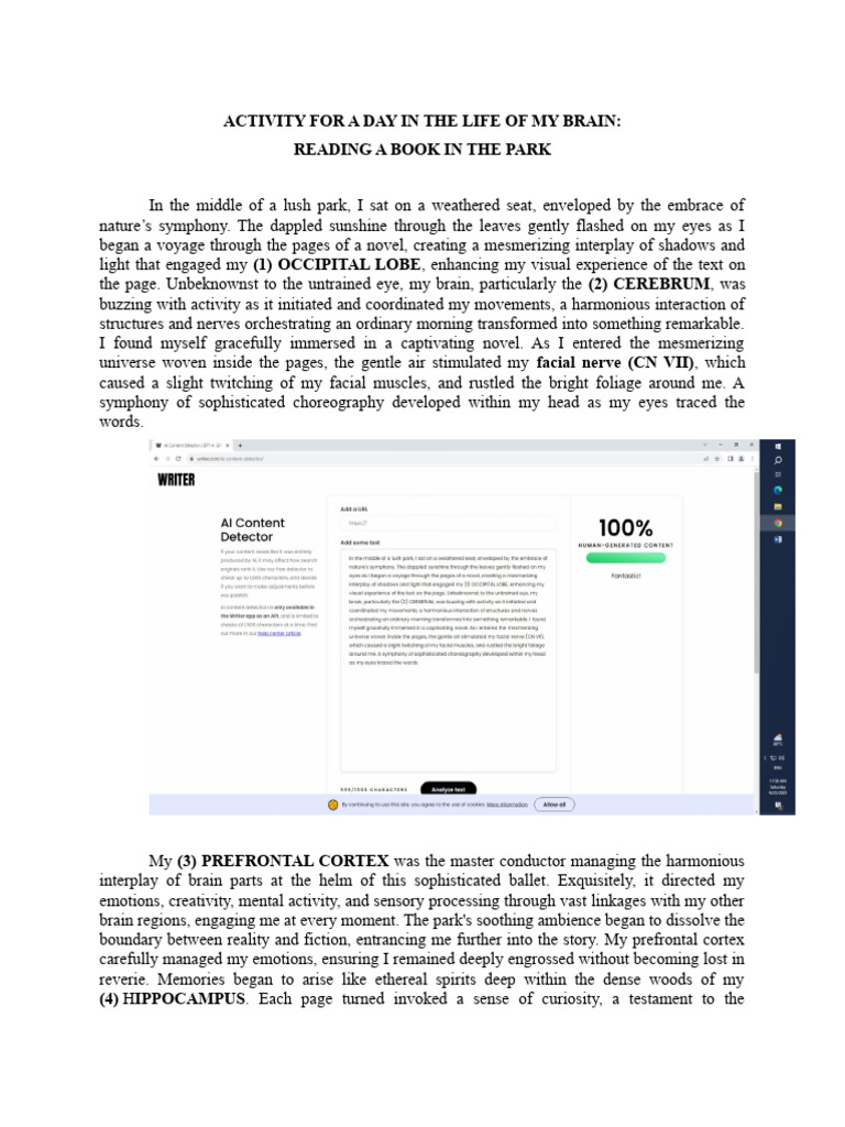 Brain Story - Ai 1 | PDF | Senses | Brain