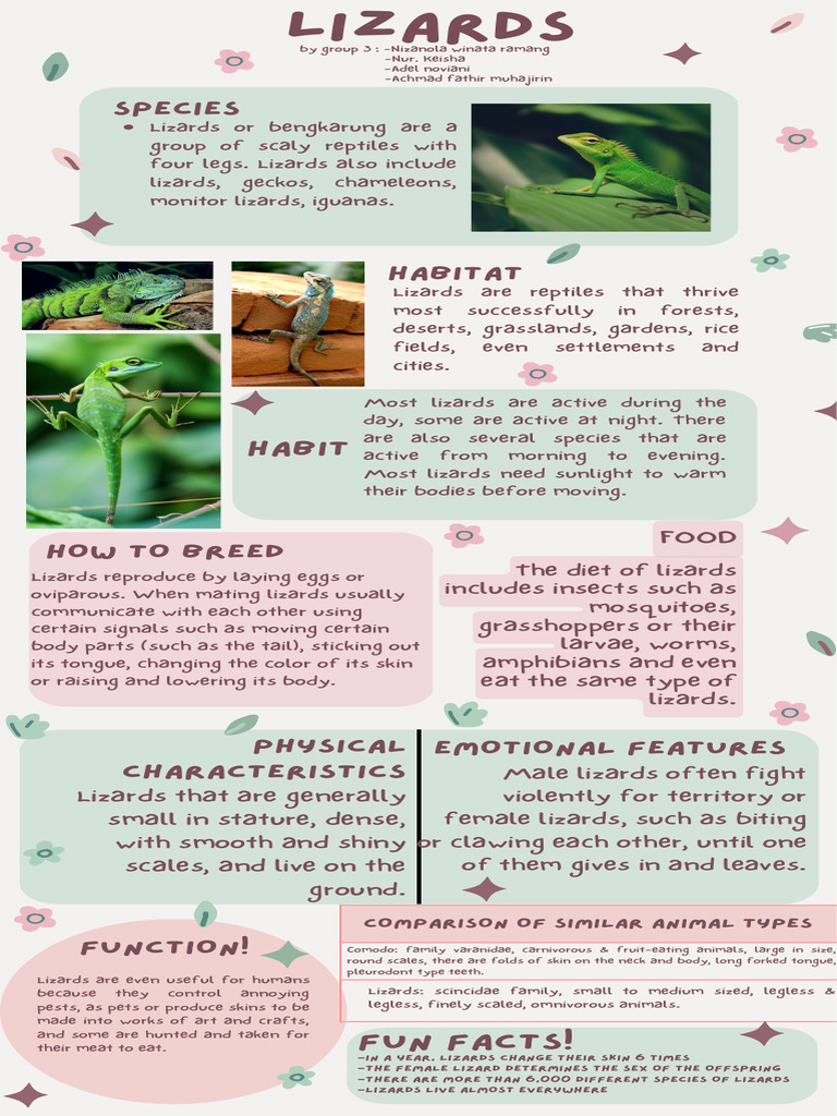 PDF Lizards by Group 3 | PDF | Lizard | Organisms