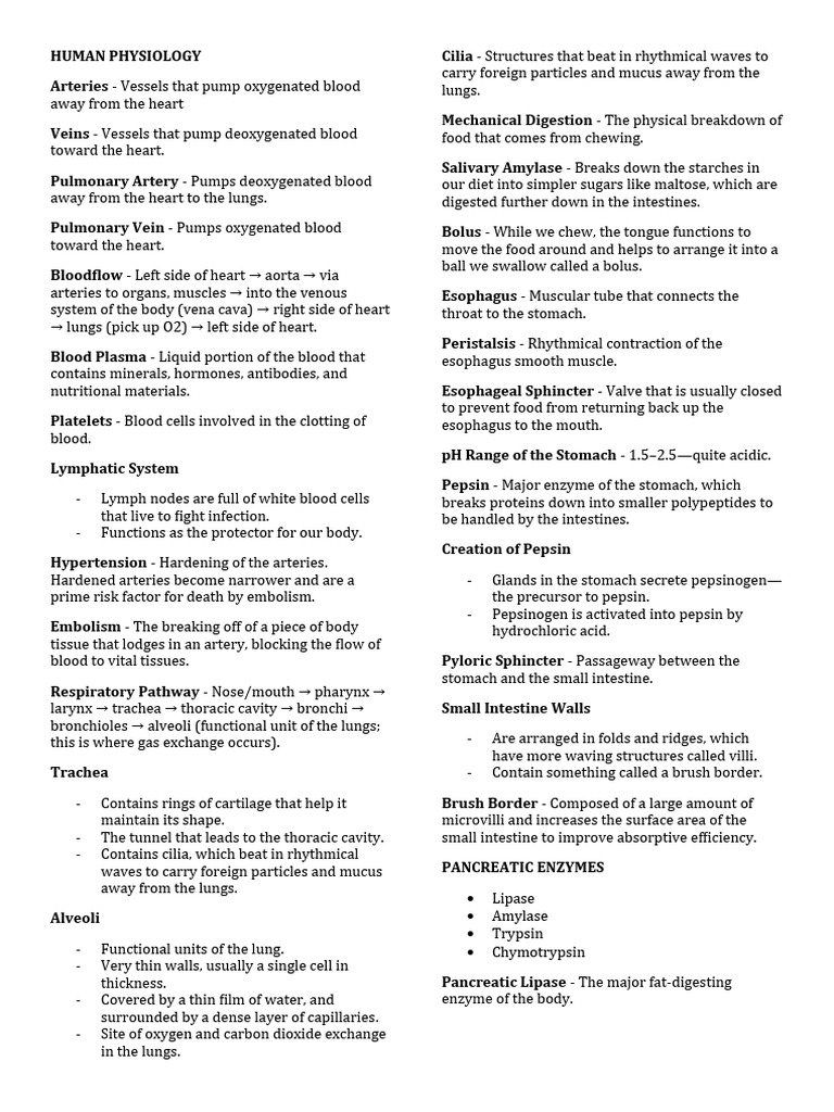 Human Physiology Terminologies | PDF | Immune System | Kidney