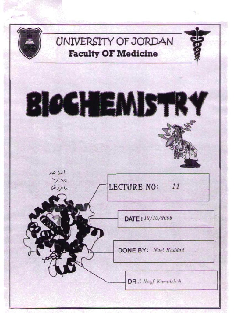 Biochem 10 | PDF | Mitochondrion | Adenosine Triphosphate