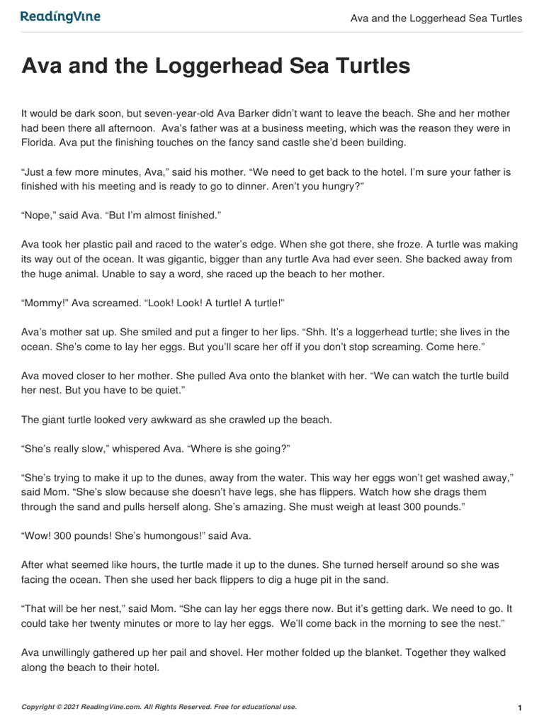Ava and The Loggerhead Sea Turtles | PDF | Turtle | Sea Turtle