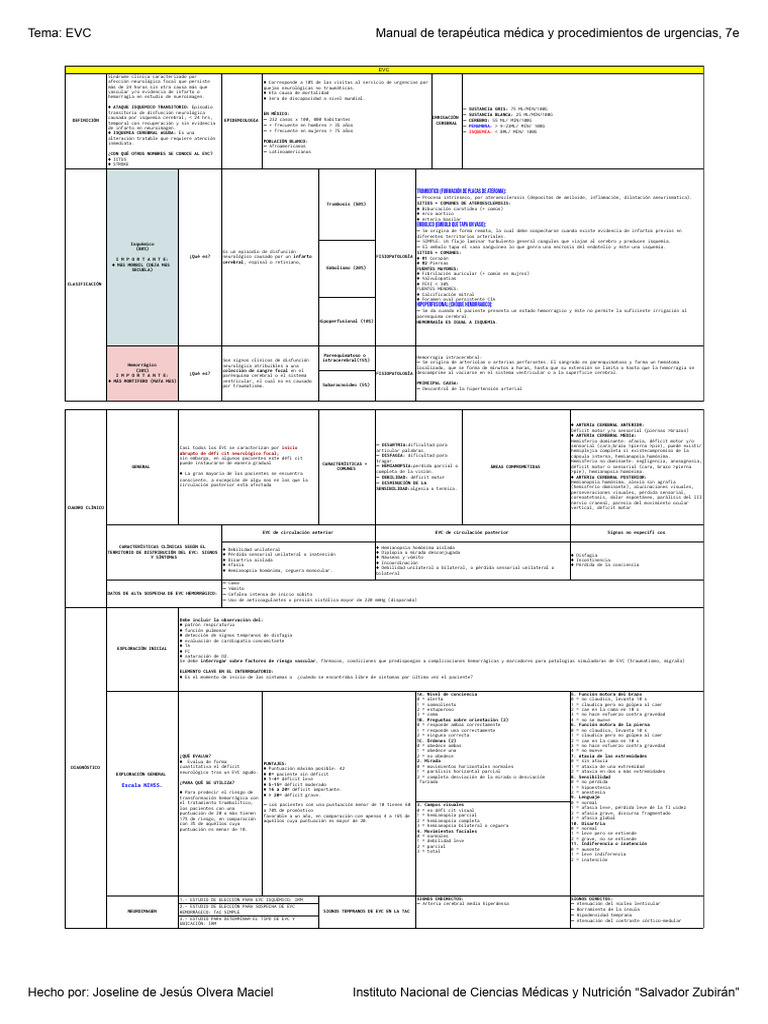 Evc (Salvador Zubiran) | PDF