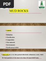 Sedimentary Rock - Shale, Sandstone, Limestone, Siltstone, & Dolomite | PDF