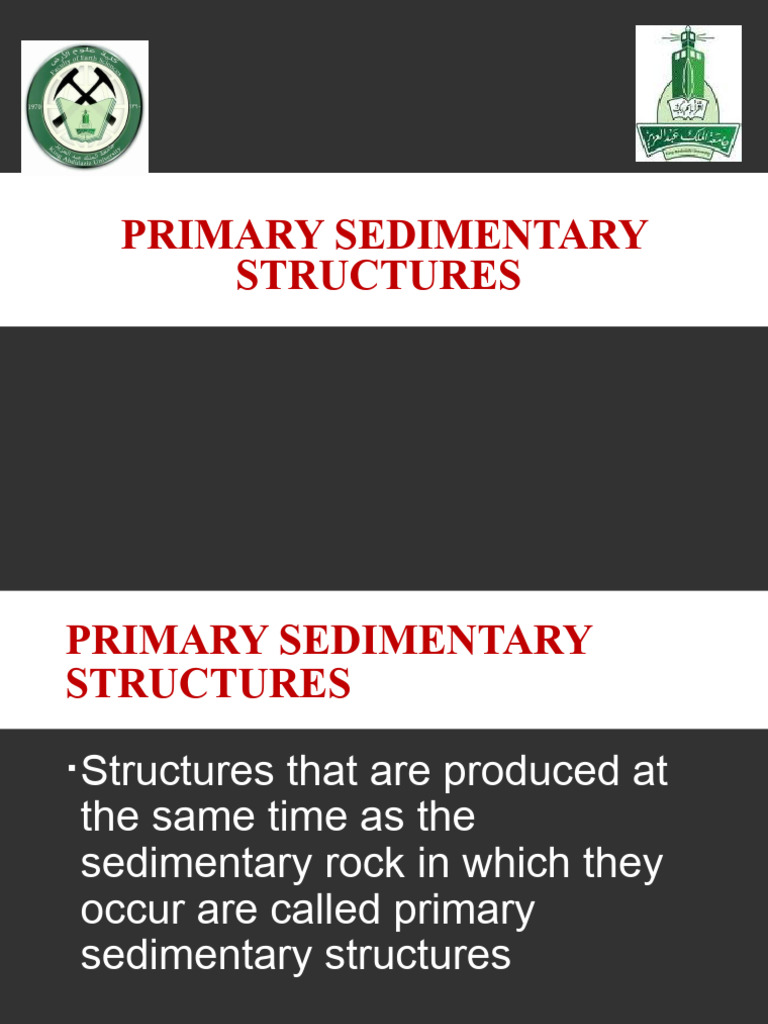 2 Primary Sedimentary Structures | PDF