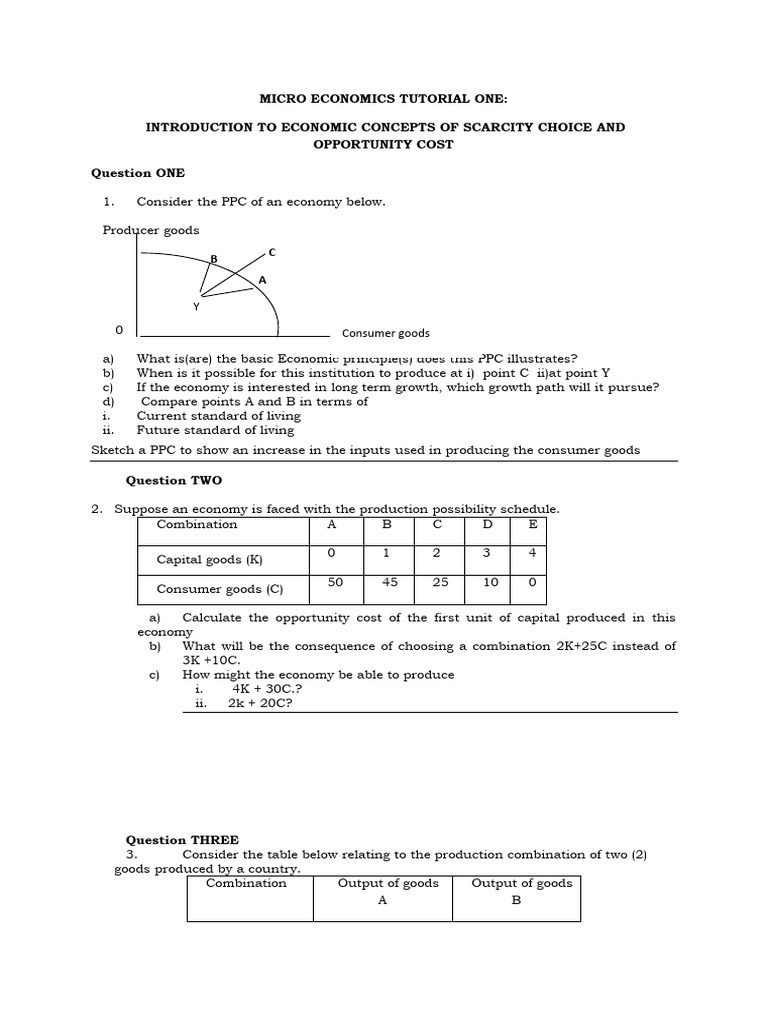 Micro Econs-Tutorial One | PDF