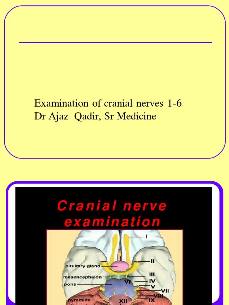Cranial Nerve Examination Converted Part 1 | PDF | Visual System ...
