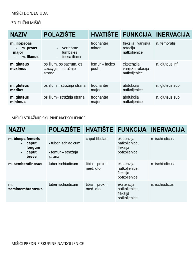 Misici Donjeg Uda - Tablica | PDF