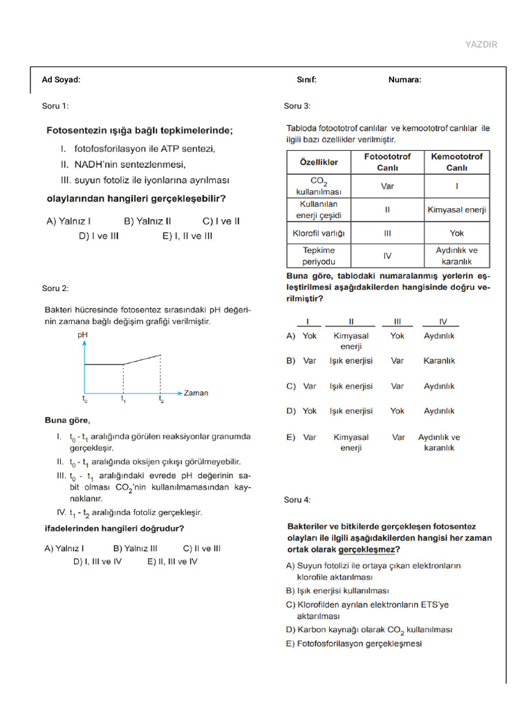 12.sinif Biyoloji Performans Ödevi | PDF