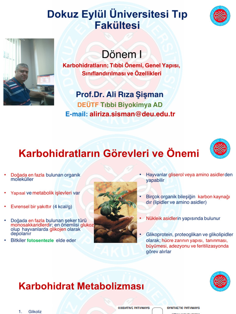 Sunum 1 DR - Ali Riza Sisman Karbonhidratlarin Siniflandirilmasi ...
