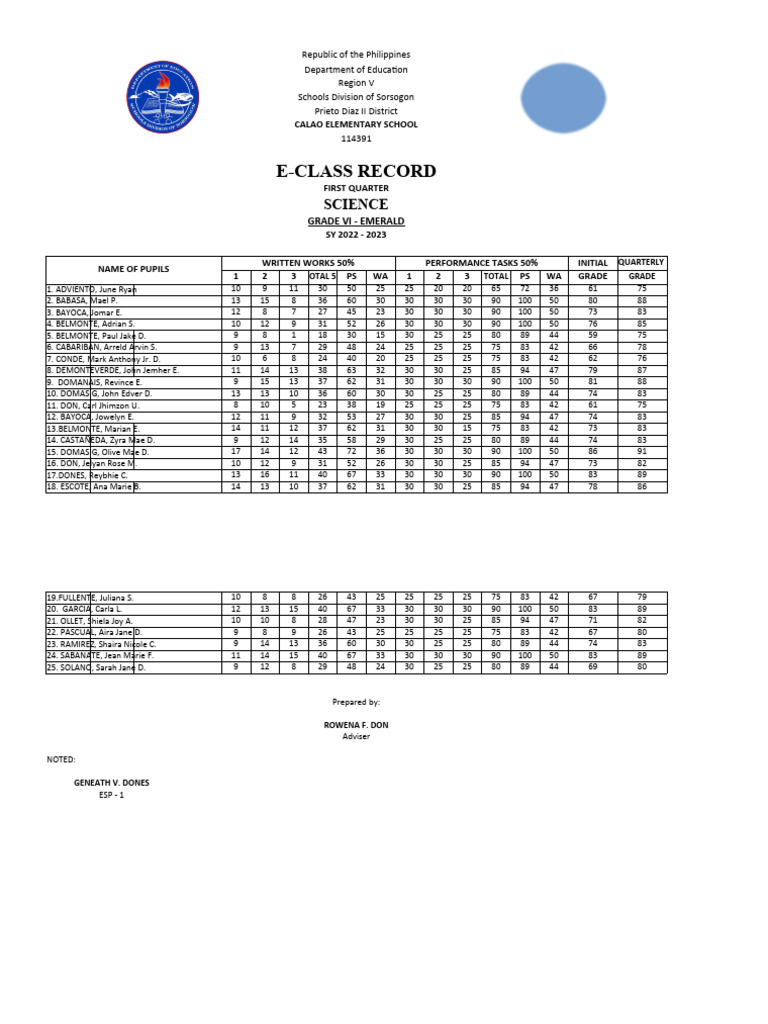E-Class Record 1 Emerald | PDF