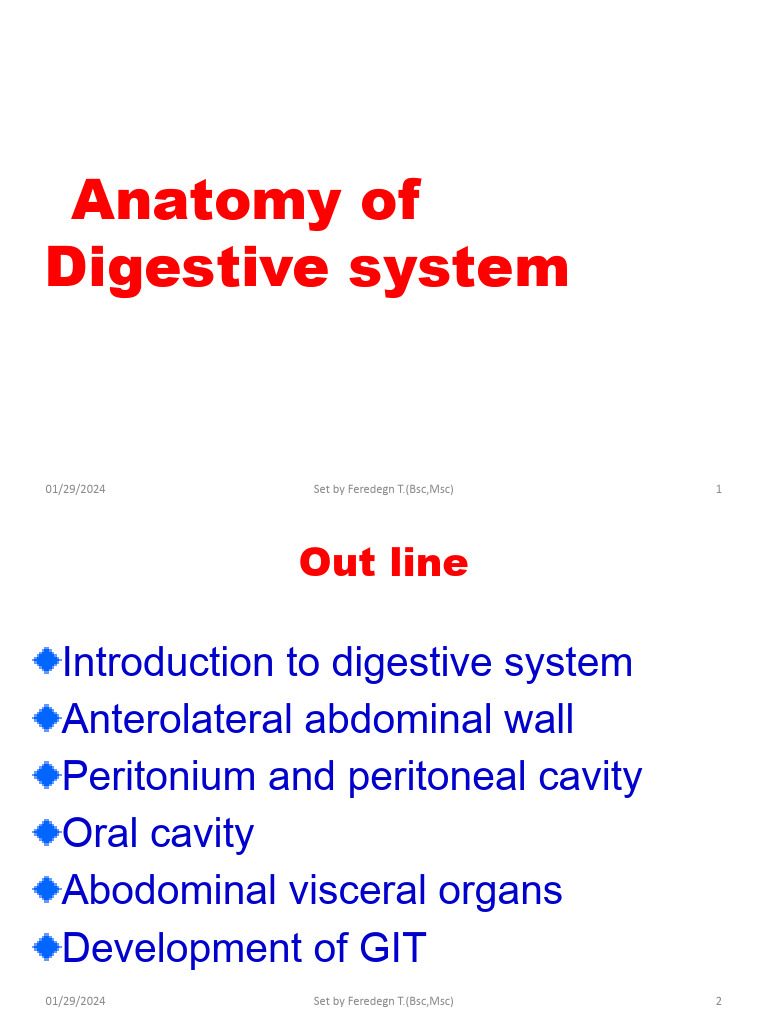 Git Anatomy | PDF | Peritoneum | Tongue