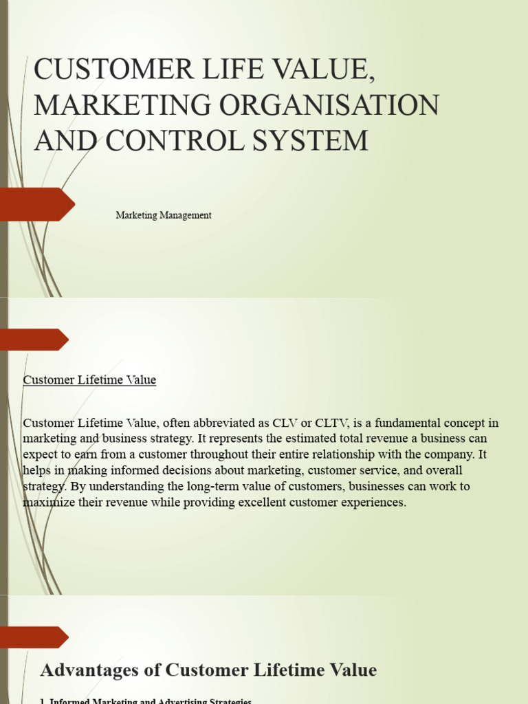 Customer Life Value | Download Free PDF | Marketing | Market (Economics)