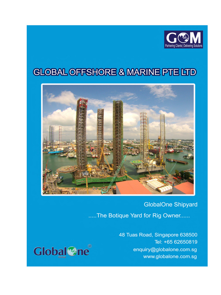 Gom Profile Short r9 | PDF | Occupational Safety And Health | Safety