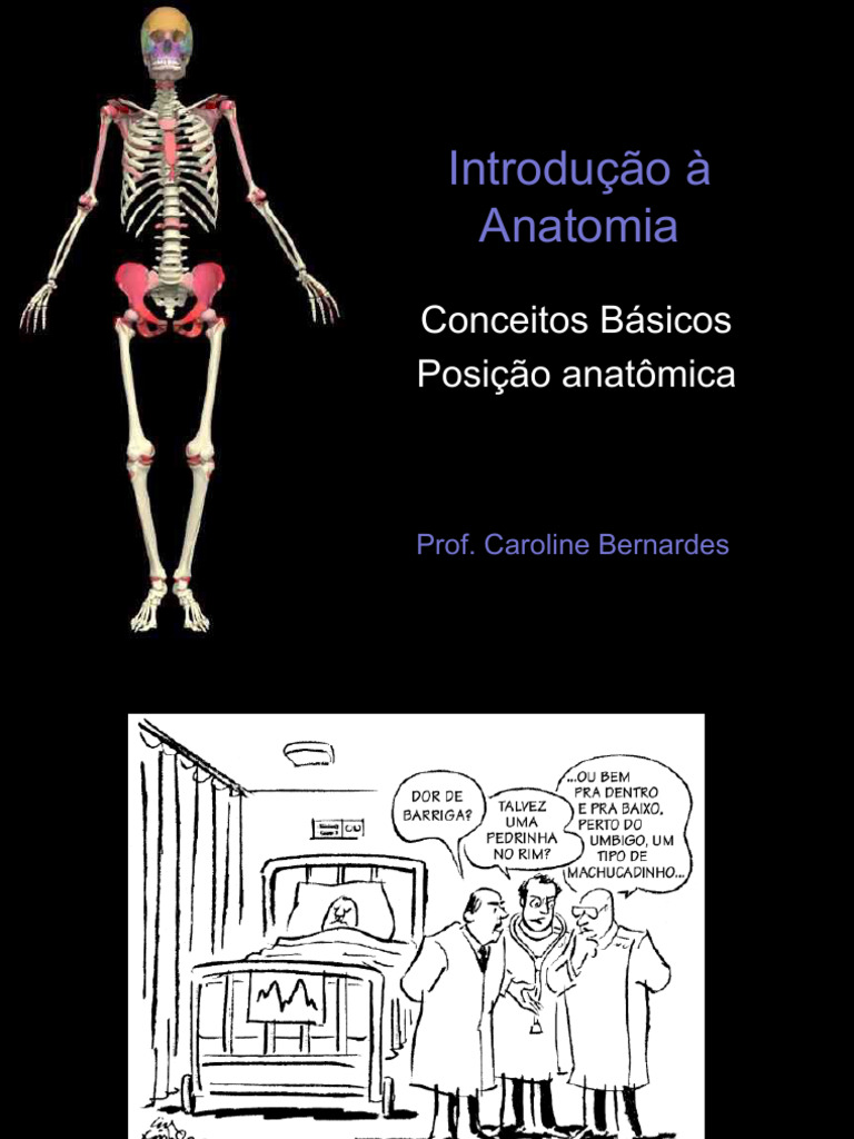 Aula 1 - Introducao - Anatomia | PDF | Anatomia | Corpo humano Aula 1 - Introducao - Anatomia | PDF | Anatomia | Corpo humano