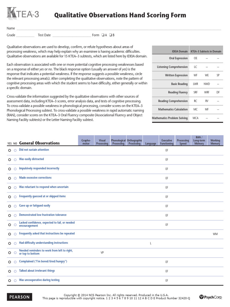 Qualitative Observations Form | PDF | Memory | Word