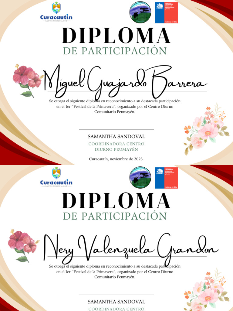 Diploma de Participación Festival Primavera | PDF