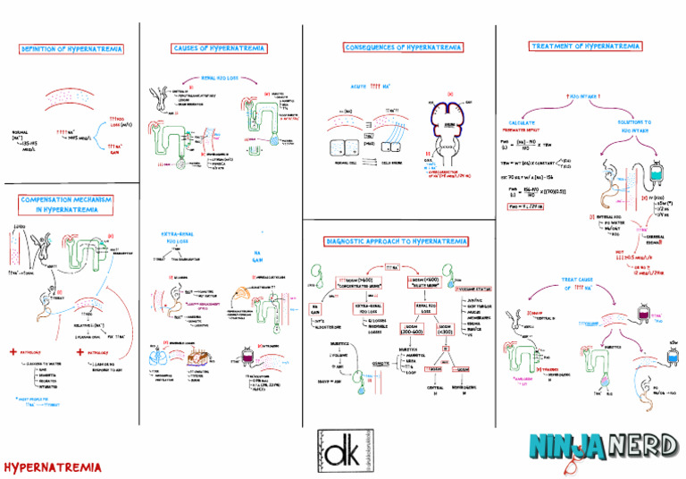 Renal Pathology - 010) Hypernatremia (Illustrations - Key) | PDF