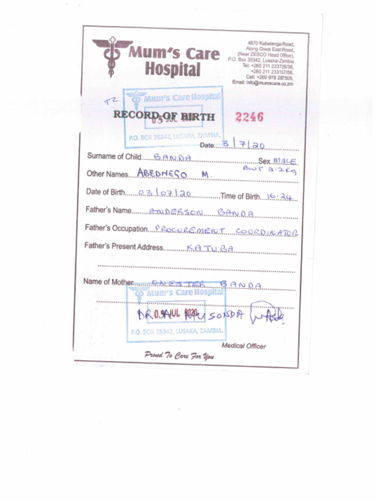 Birth Record 2 | PDF