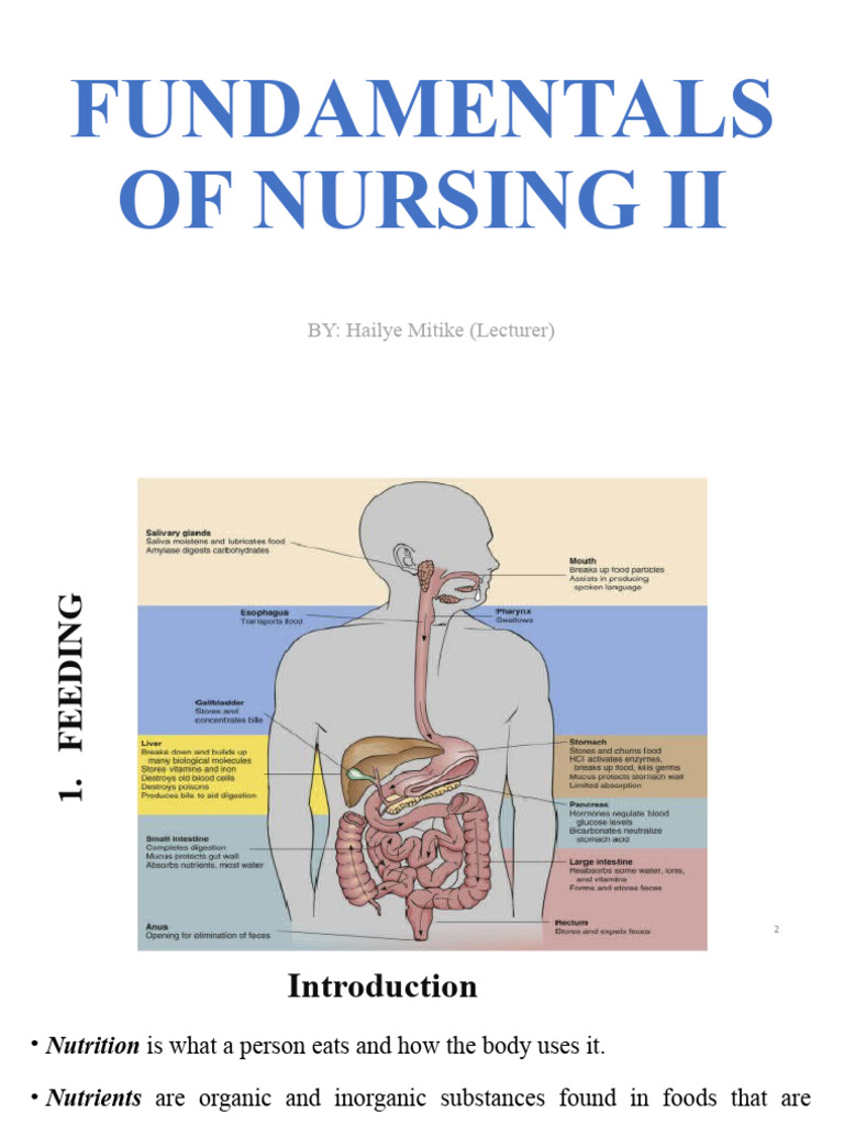 Feeding & Terminal Illness | PDF | Autopsy | Nutrients