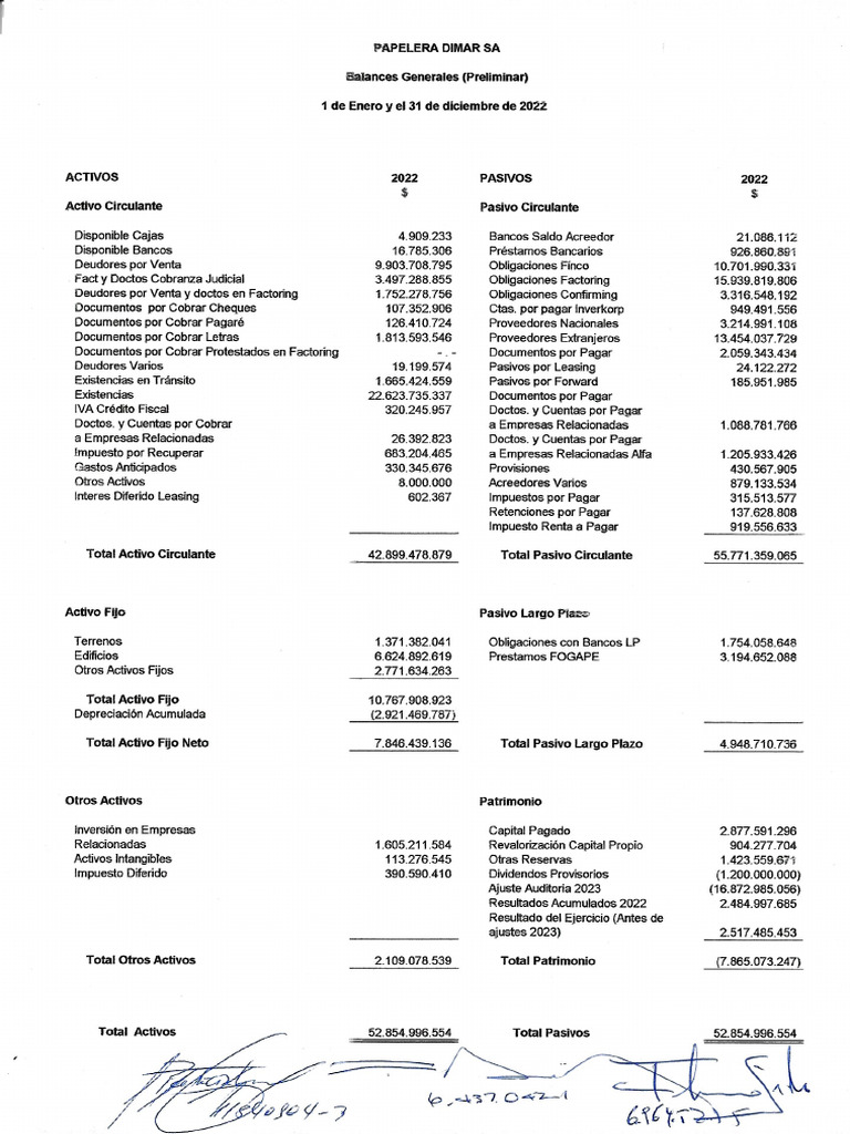 2022 Balances Papelera Dimar Sa | PDF 2022 Balances Papelera Dimar Sa | PDF