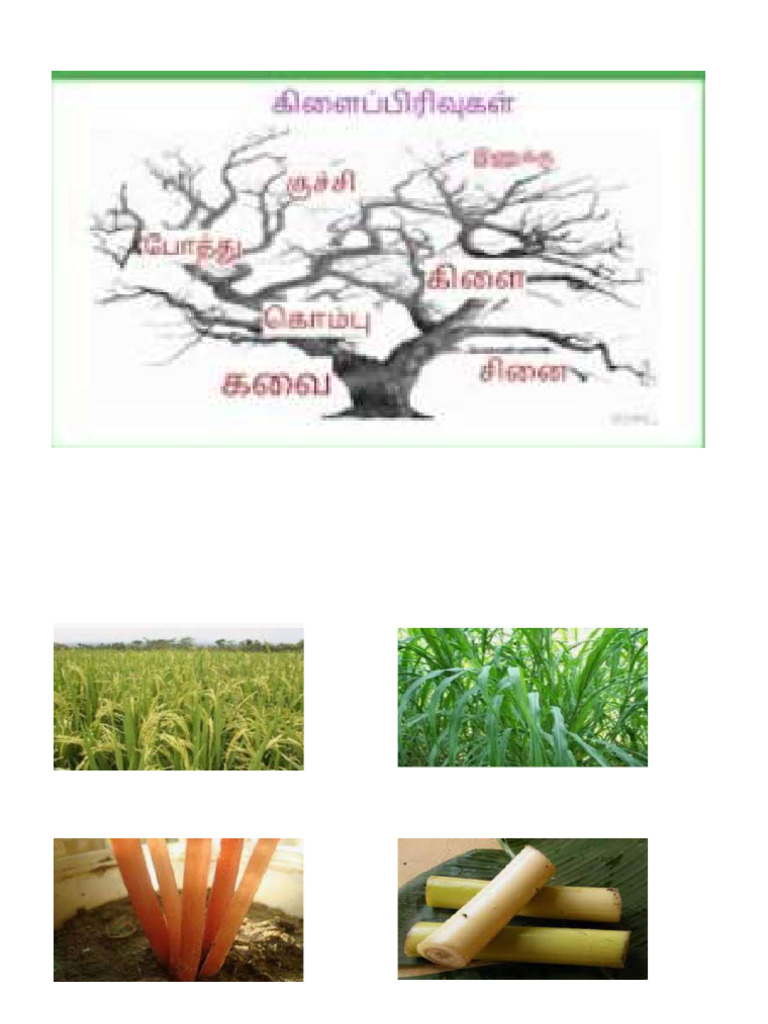 Tamil Projectuu | PDF