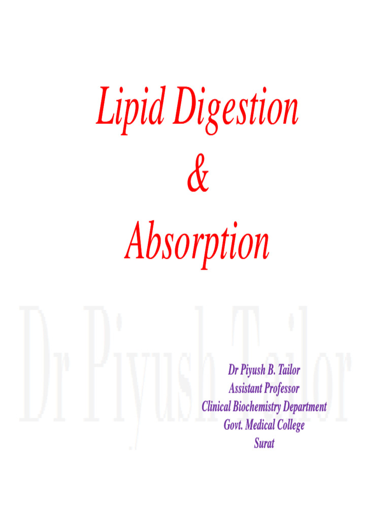 Lipid Digestion Absorption | PDF | Bile | Digestion