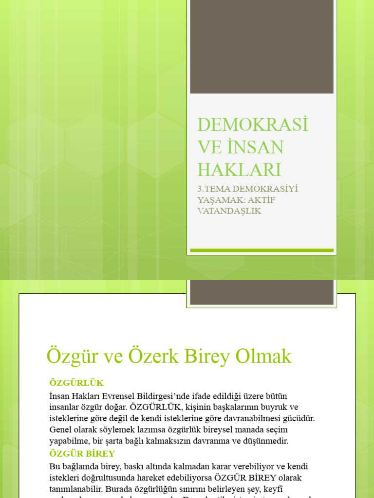 Demokrasi̇ Ve İnsan Haklari Dersi̇ 3.tema | PDF