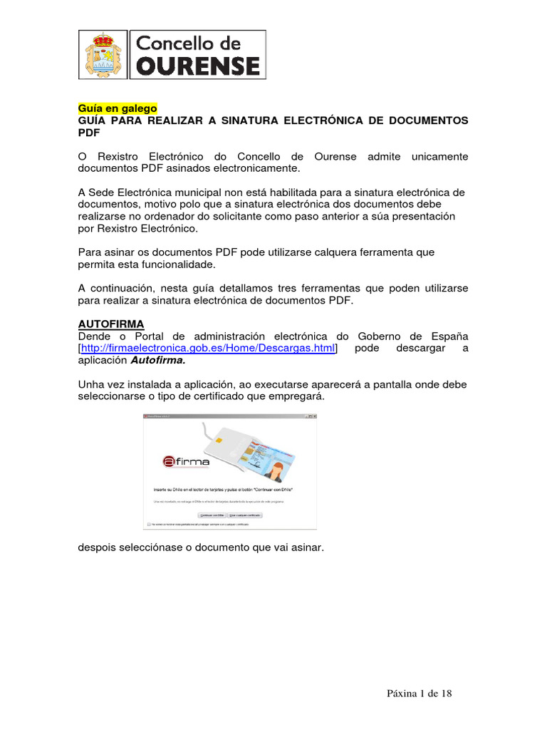 Guia Sinatura Electronica BL | PDF