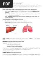 Digestión: Bolo, Quimo y Quilo | PDF | Digestión | Tracto gastrointestinal