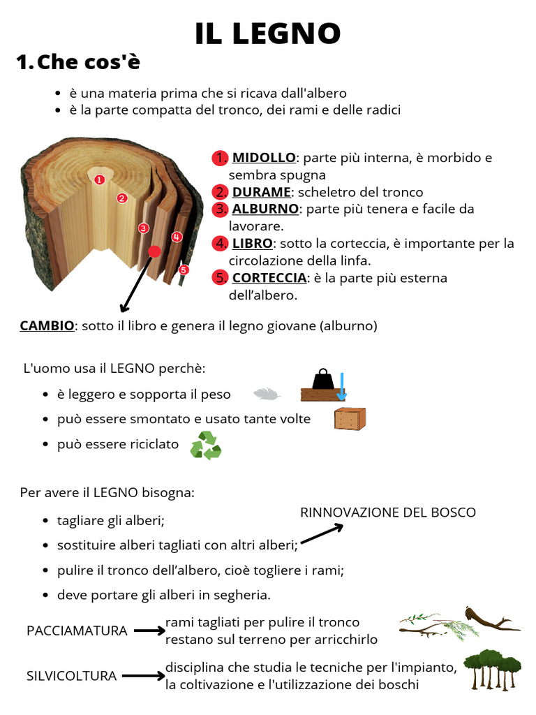 Il Legno | PDF