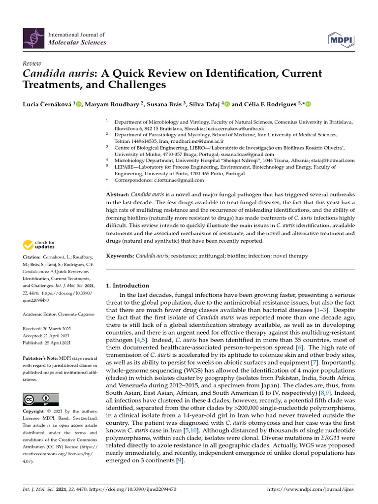 Candida Auris: A Quick Review On Identification, Current Treatments ... Candida Auris: A Quick Review On Identification, Current Treatments ...