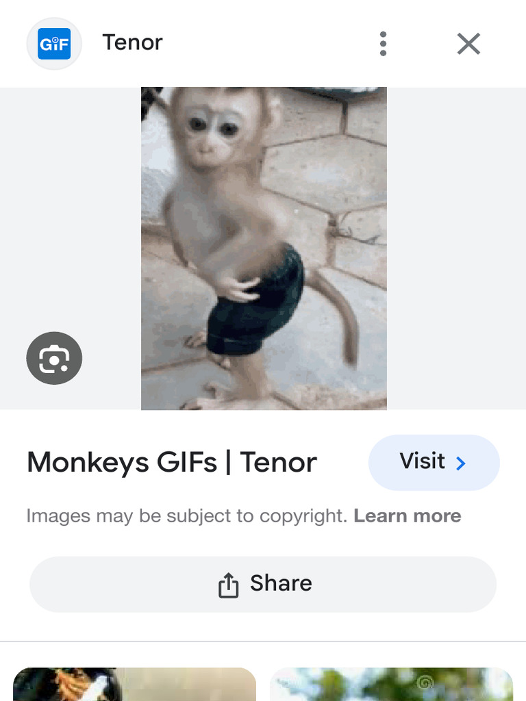 Six The Musical (Script) | PDF