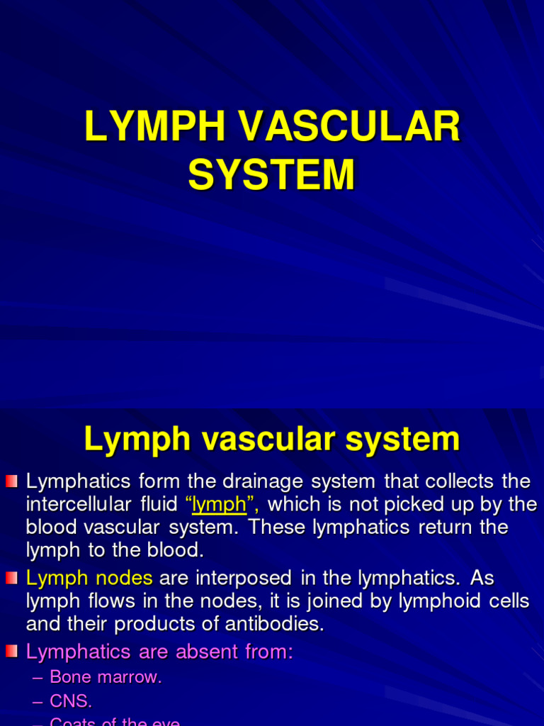 Lymph Vascular System | PDF | Lymphatic System | Lymph