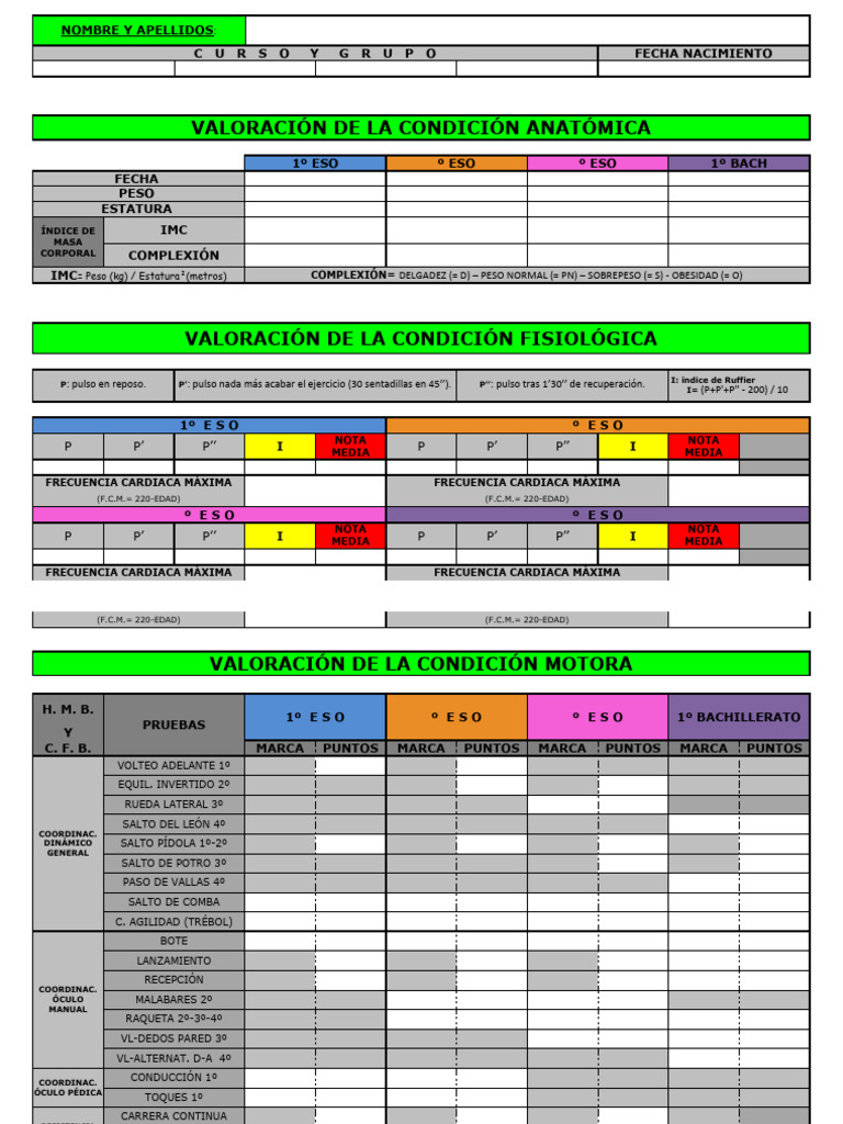 Ficha Autorrellenable Pruebas Eval. Inicial Excel | PDF | Índice de masa corporal | Obesidad