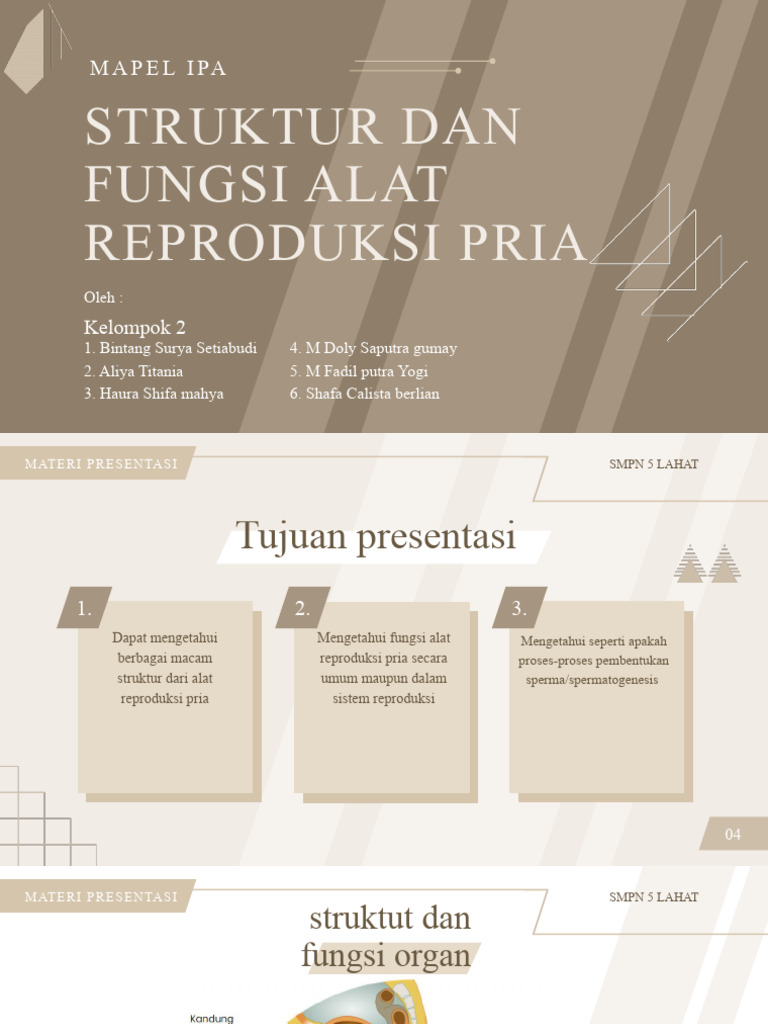 Struktur Dan Fungsi Alat Reproduksi Pria | PDF