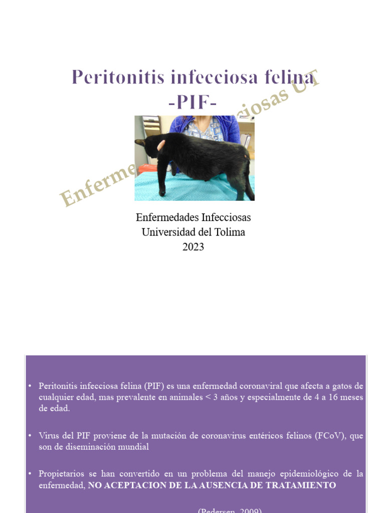 17 Peritonitis Infecciosa Felina | PDF | Microbiología | Virología