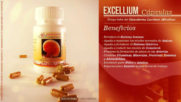 Catálogo Excelium 007 | PDF