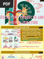Open and Closed Packed Positions of Joints | PDF | Anatomical Terms Of ...