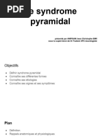 3 Syndrome Extrapyramidal | PDF | Maladie de Parkinson | Maladies et ...