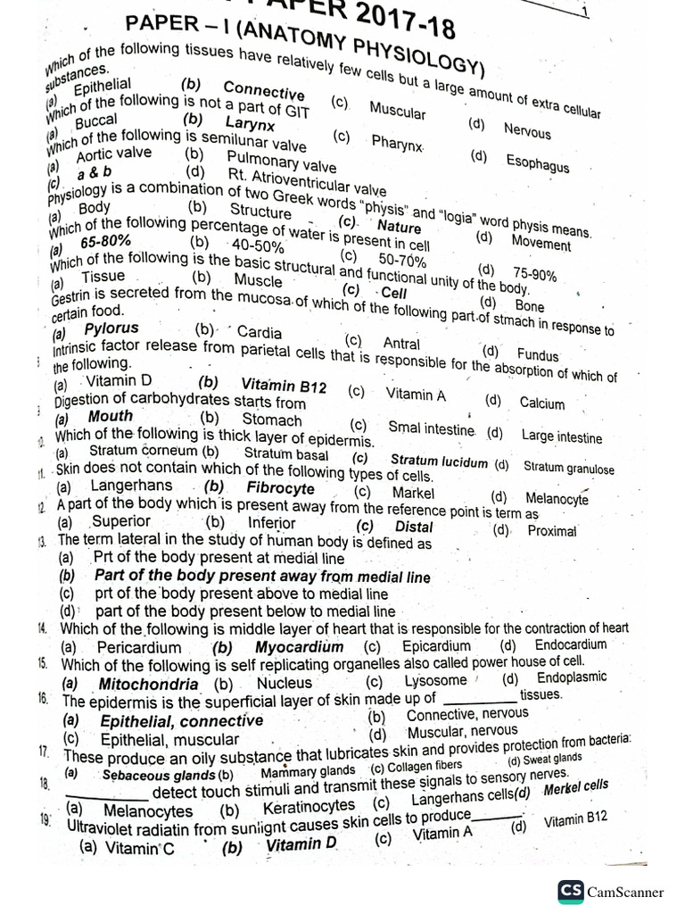 All Past Papers Pharmacy Technician | PDF