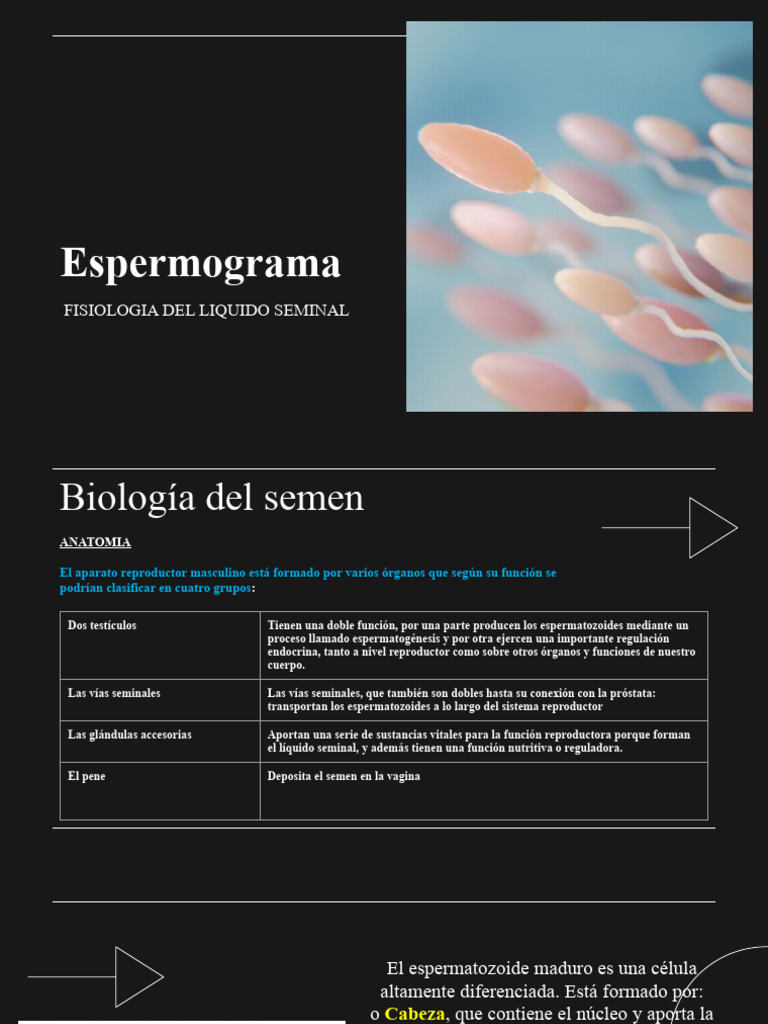 e Spermogram A | PDF | Semen | Sistema reproductivo