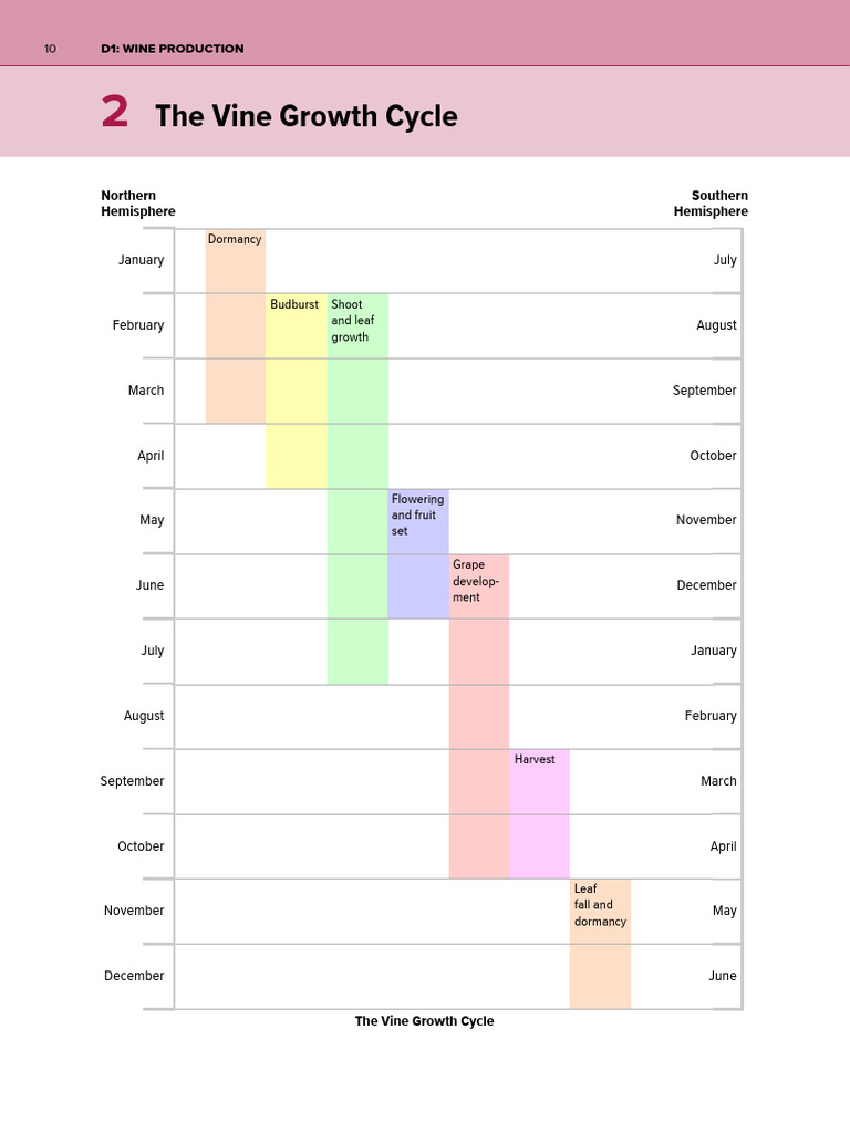 Vine Growth Cycle | PDF | Phenolic Content In Wine | Aroma Of Wine