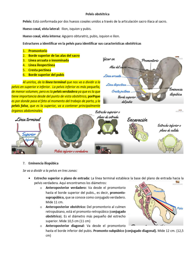 Pelvis Obstétrica Descargar Gratis Pdf Pelvis Anatomía
